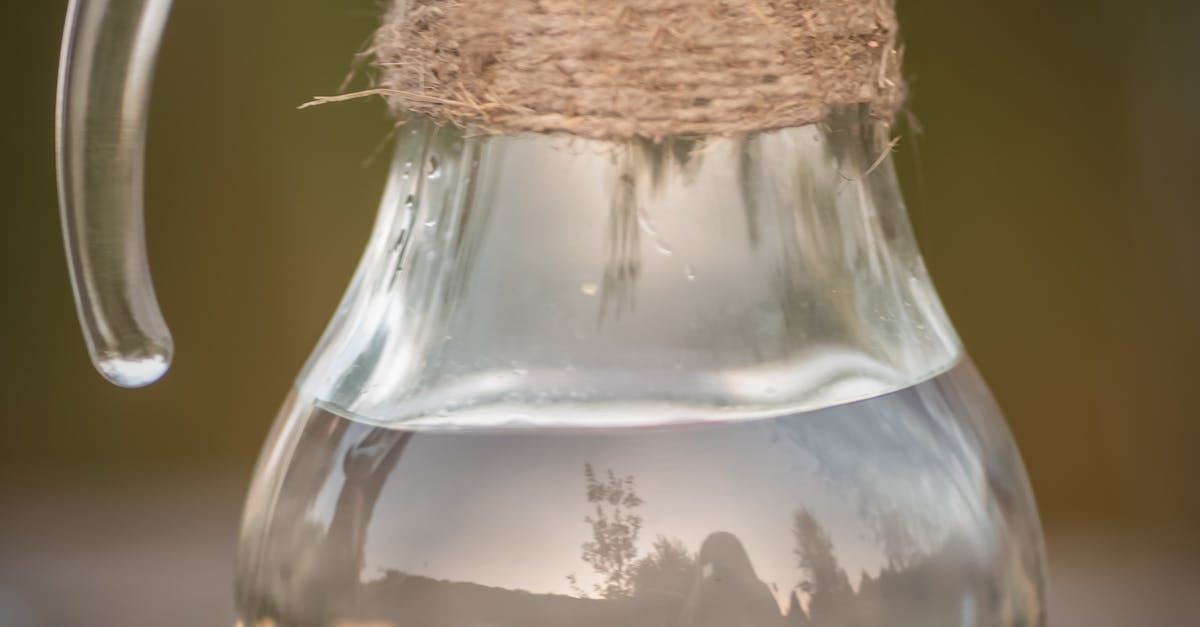 Culturing Infusoria for Your Tiny Fry | Dial A Vet