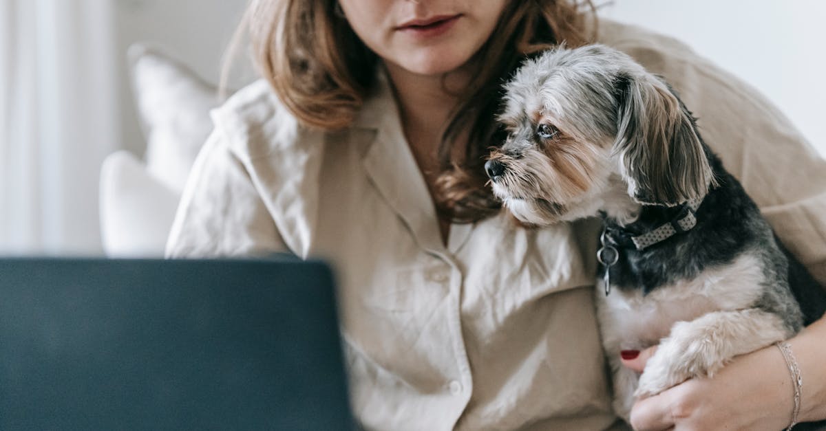 Prednisolone for Dogs | Dial A Vet